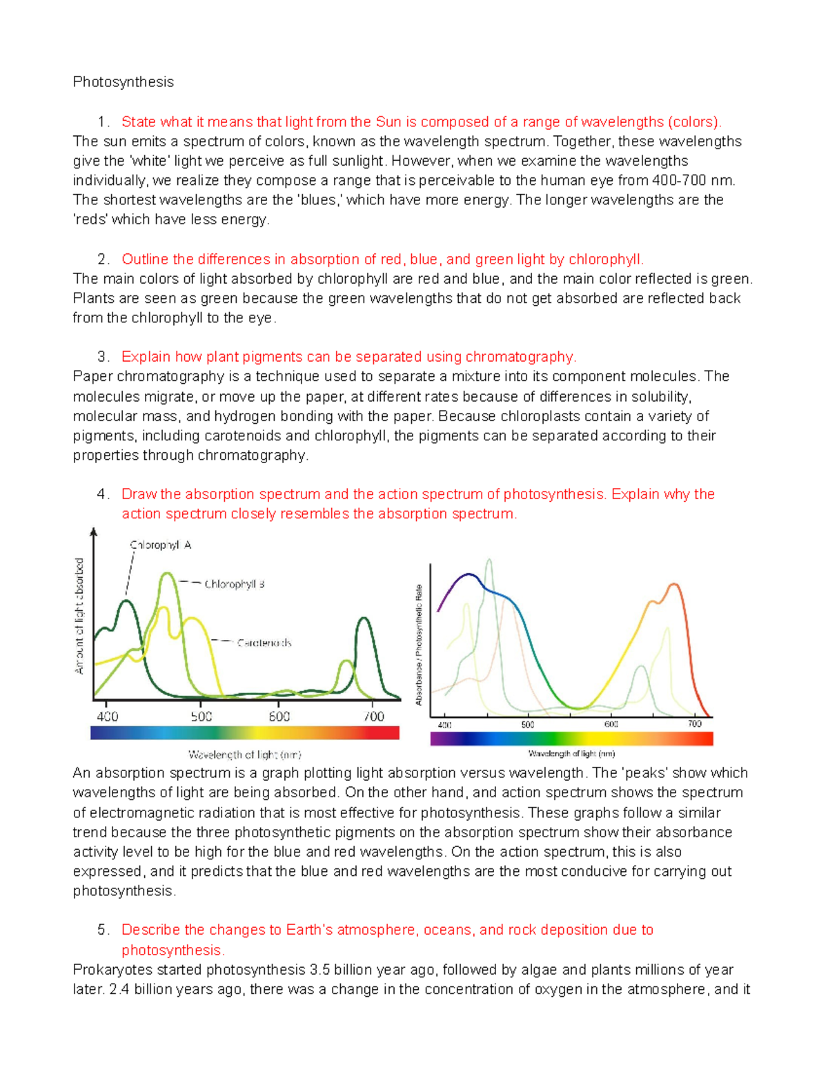 Biology Photosynthesis Study Guide - Photosynthesis State what it means ...