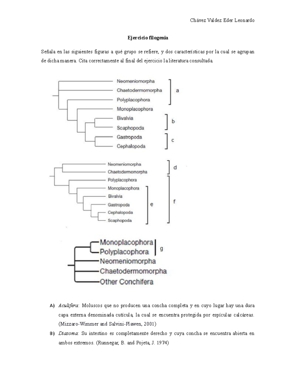 Ejercicio filogenia - Chávez Valdez Eder Leonardo Ejercicio filogenia ...