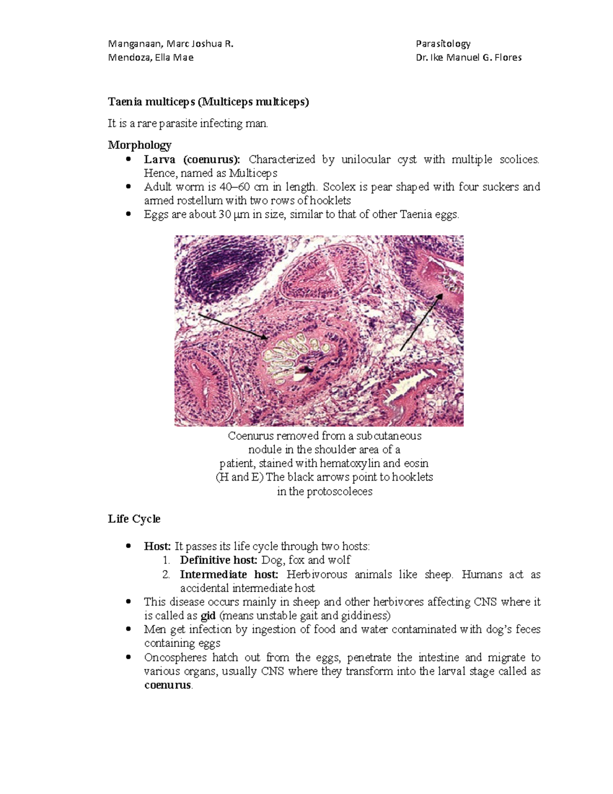Taenia multiceps report - Manganaan, Marc Joshua R. Parasitology ...