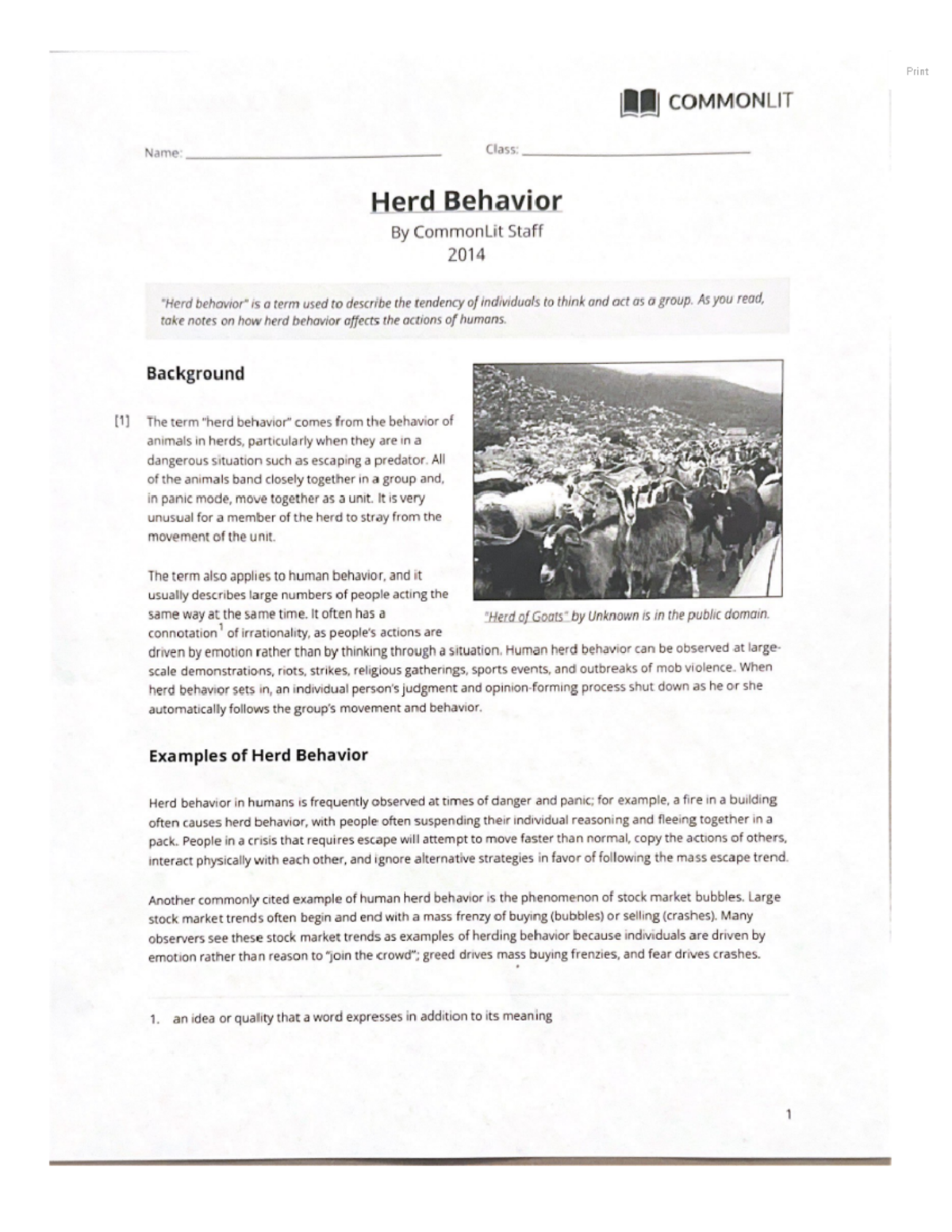 Herd Behavior Article.pdf Schoology - Print - Studocu