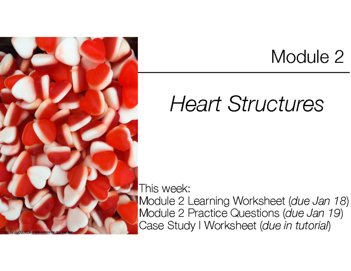 BIO209 W24 Module 2 Heart Slides - Heart Structures Photo by JACQUELINE ...