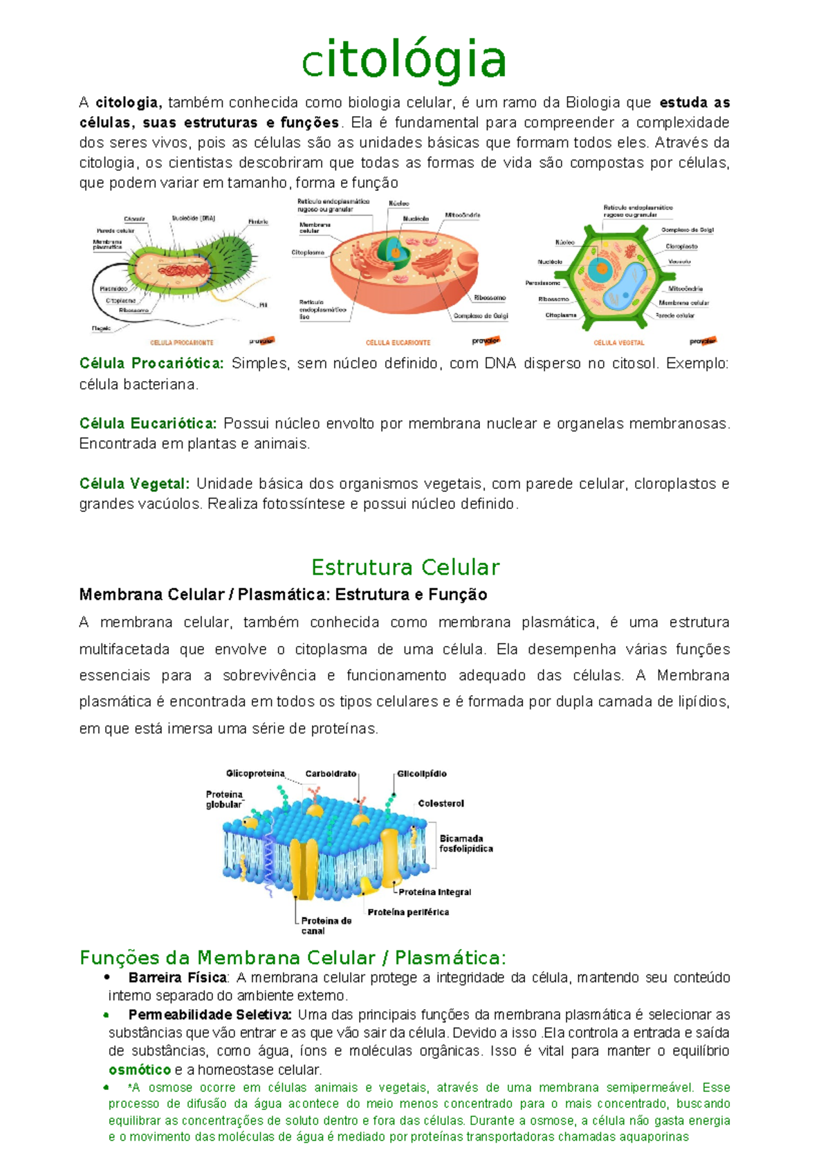 Resumo Biologia Professor Matheus - Citológia A citologia, também ...