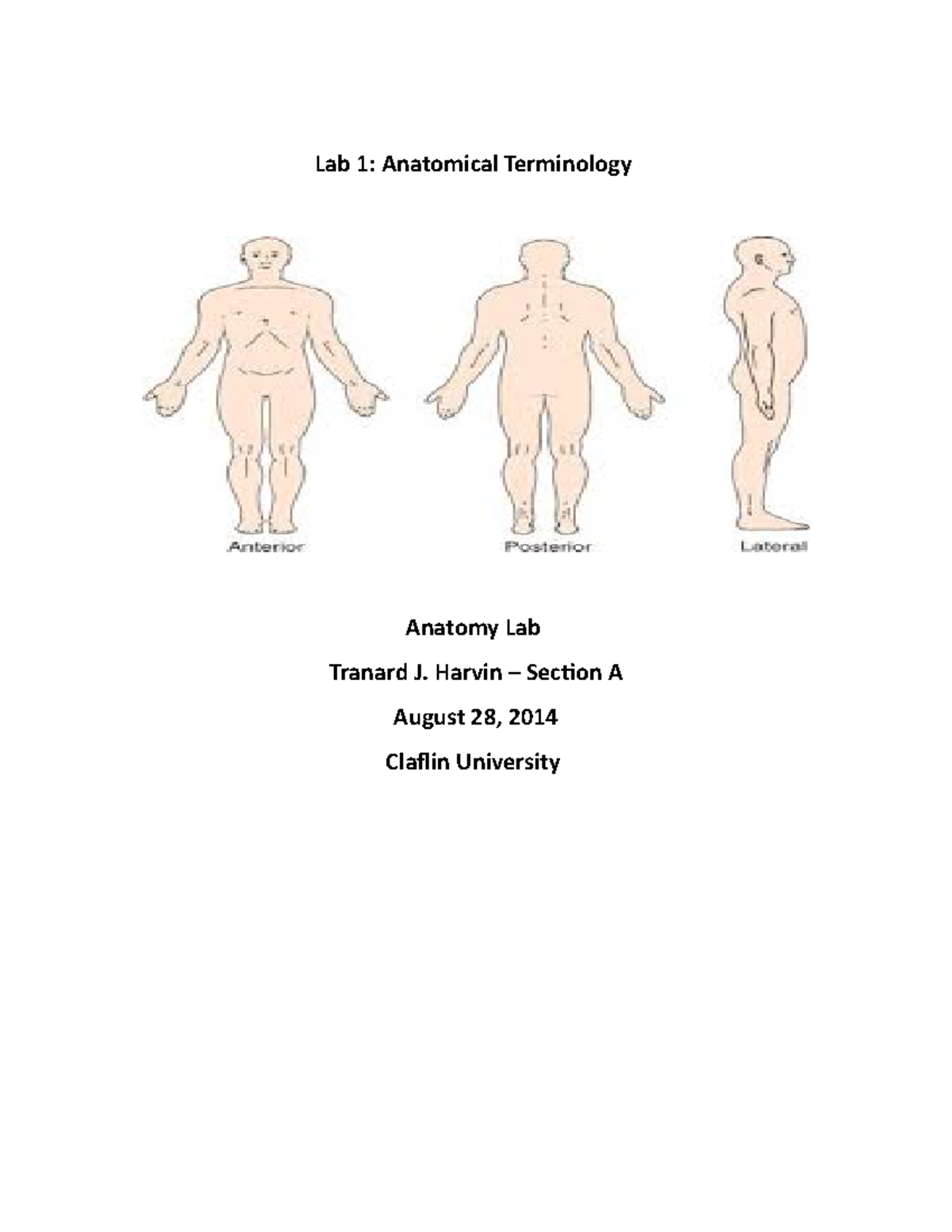 Lab 1 Anatomy - Assignment - Lab 1: Anatomical Terminology Anatomy Lab ...