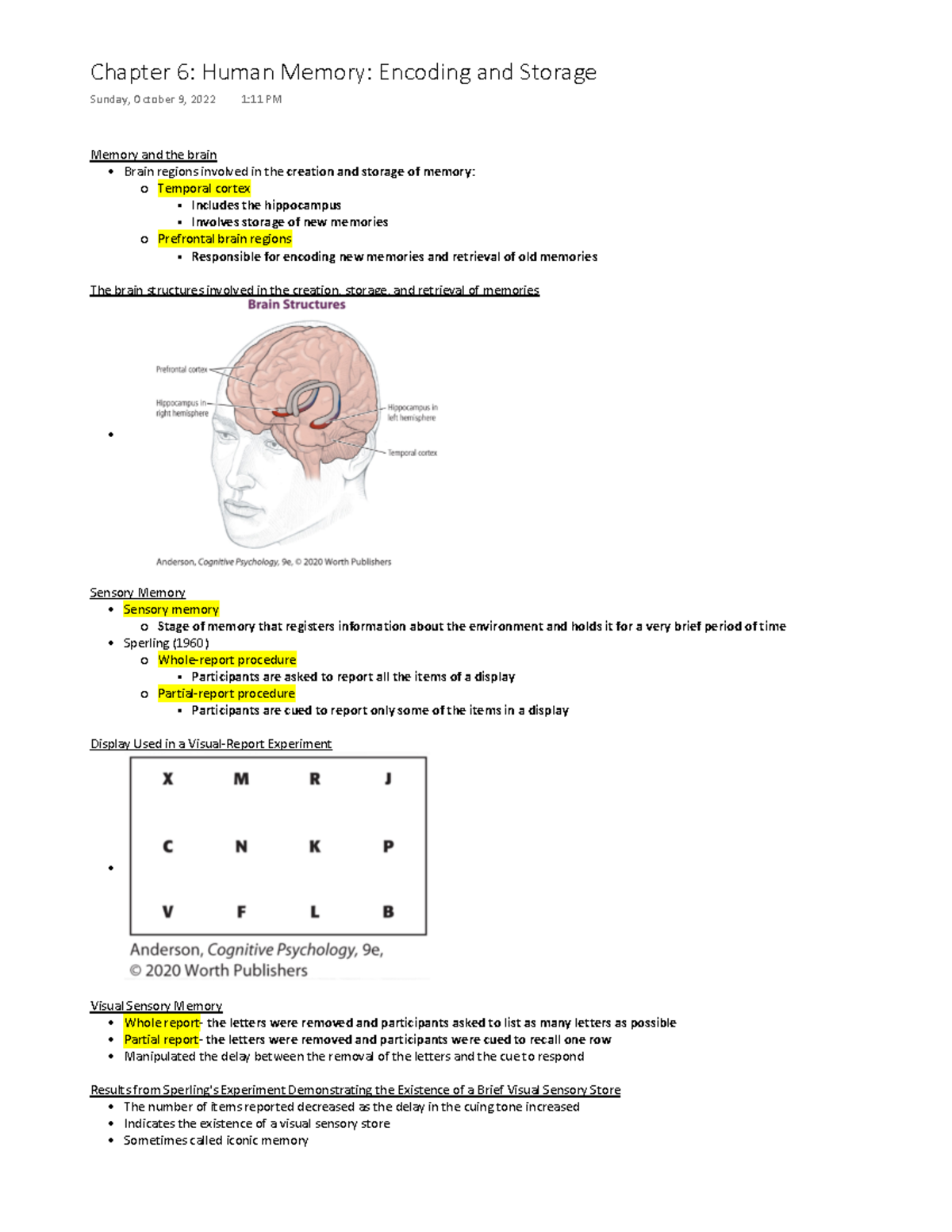 PBSI 345 Chapter 6 - Memory and the brain Brain regions involved in the ...