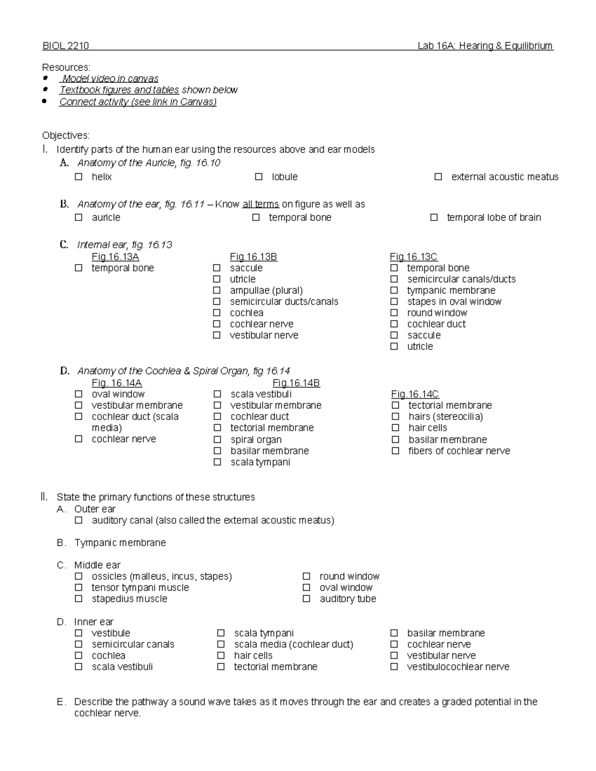 Lab 16A Ear Anatomy (instructions) - BIOL 2210 Lab 16A: Hearing ...