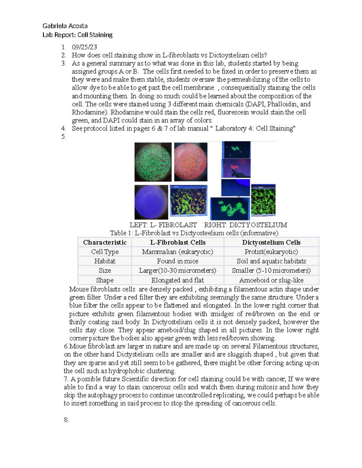 Cell Staining - 09/25/ 2. How does cell staining show in L-fibroblasts vs Dictoystelium cells? 3 ...