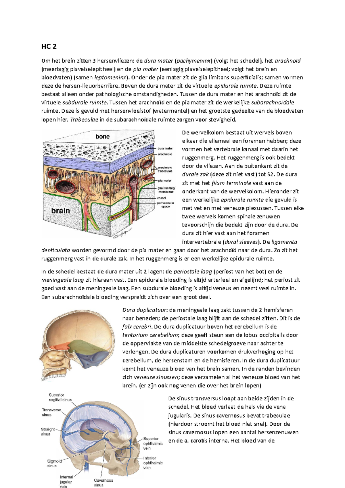 aantekeningen hoorcollege 2 - HC 2 Om het brein zitten 3 hersenvliezen ...