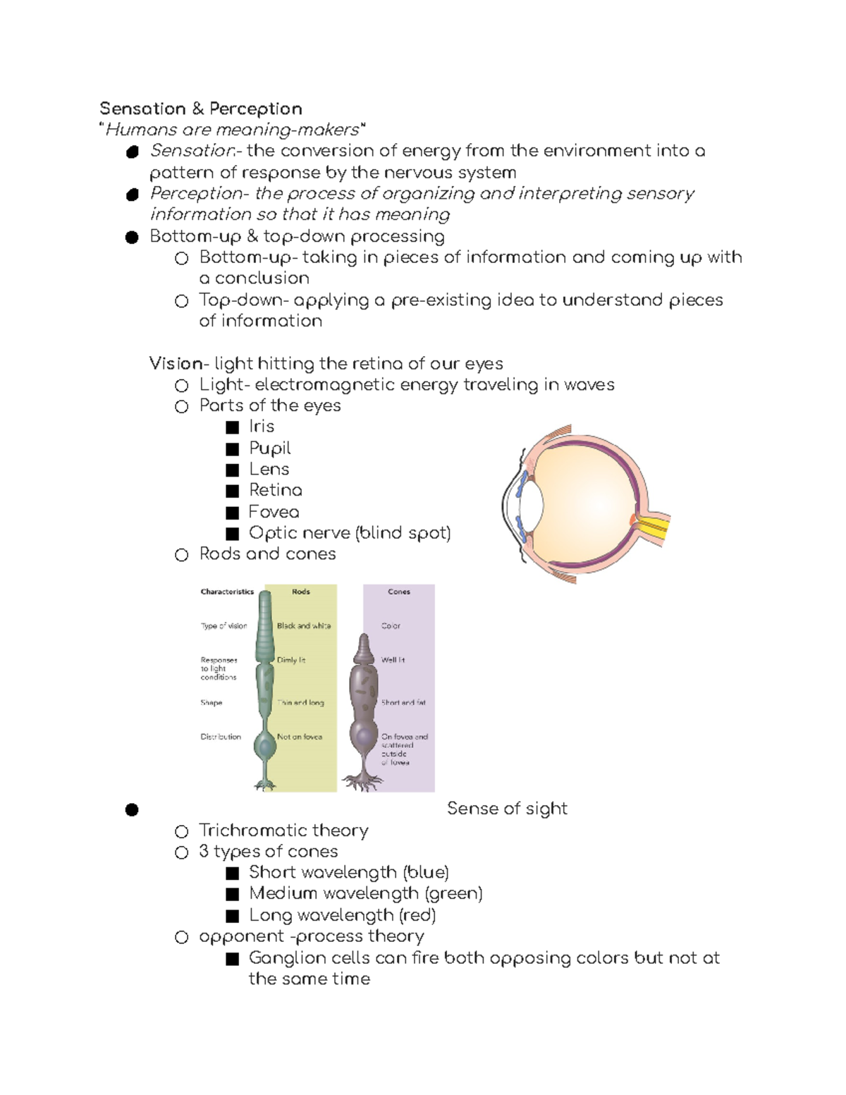 Ch 4 Sensation and Perception - Sensation & Perception “Humans are ...