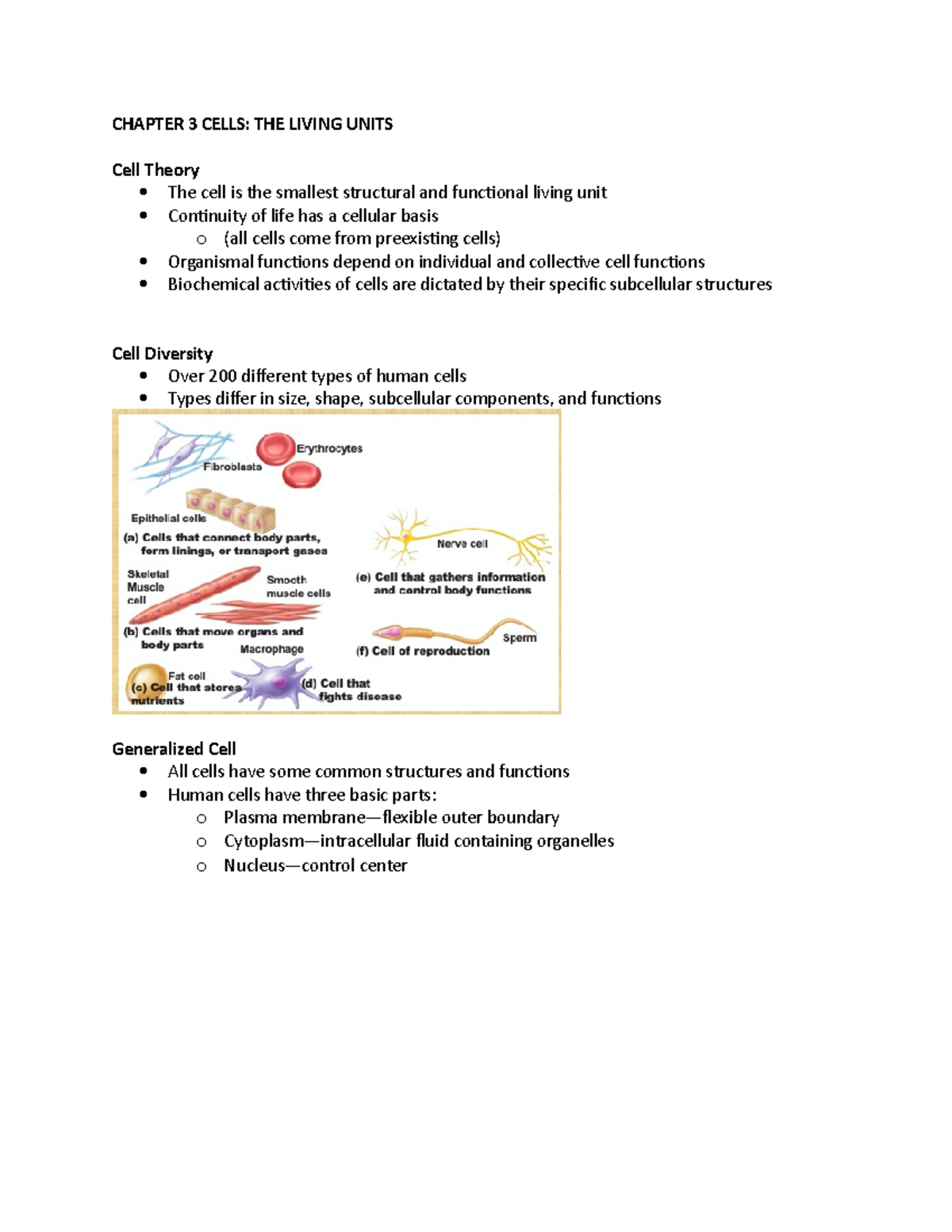 Chapter 3 Cells - cpcc - CHAPTER 3 CELLS: THE LIVING UNITS Cell Theory ...