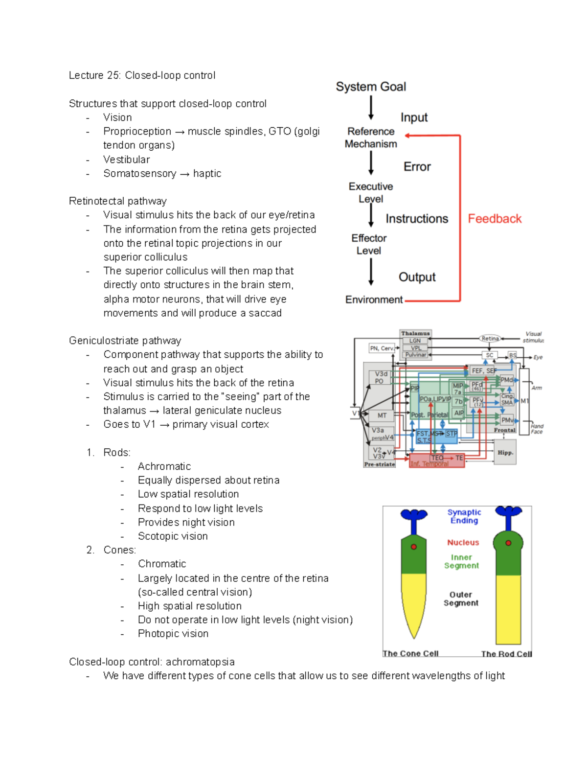 Kin 1080 Week 11 Part 1 - class notes - Lecture 25: Closed-loop control ...