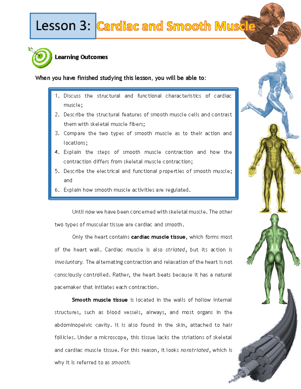 Muscular System Lesson 3 - 9 Learning Outcomes When you have finished ...