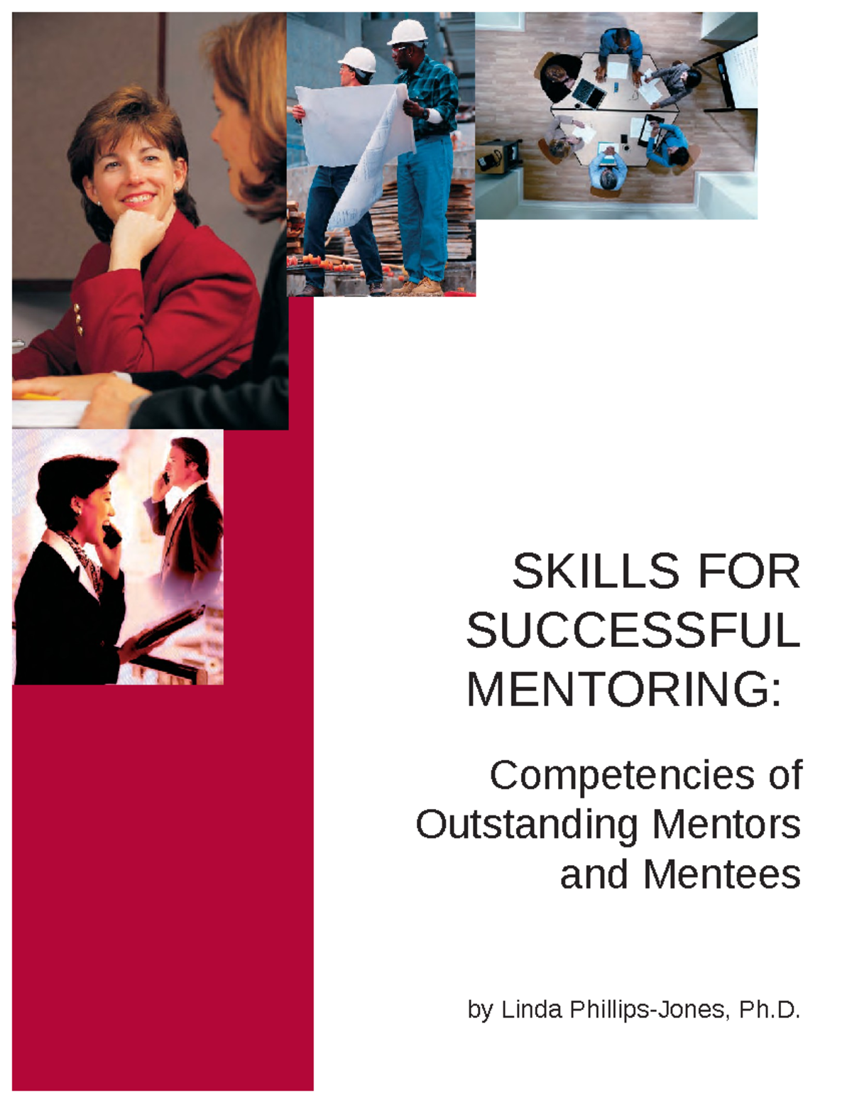 Skills for Sucessful Mentoring - SKILLS FOR SUCCESSFUL MENTORING ...