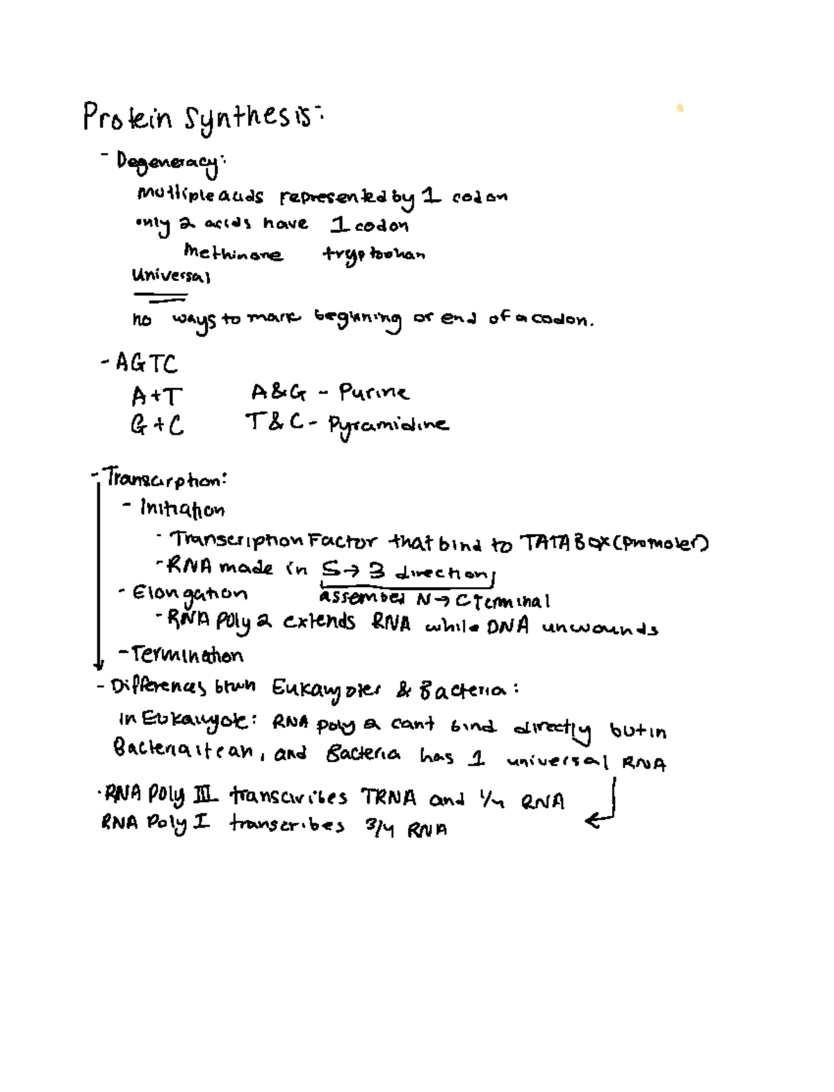 Note Dec 8, 2022 - protein synthesis circulatory system immune system ...