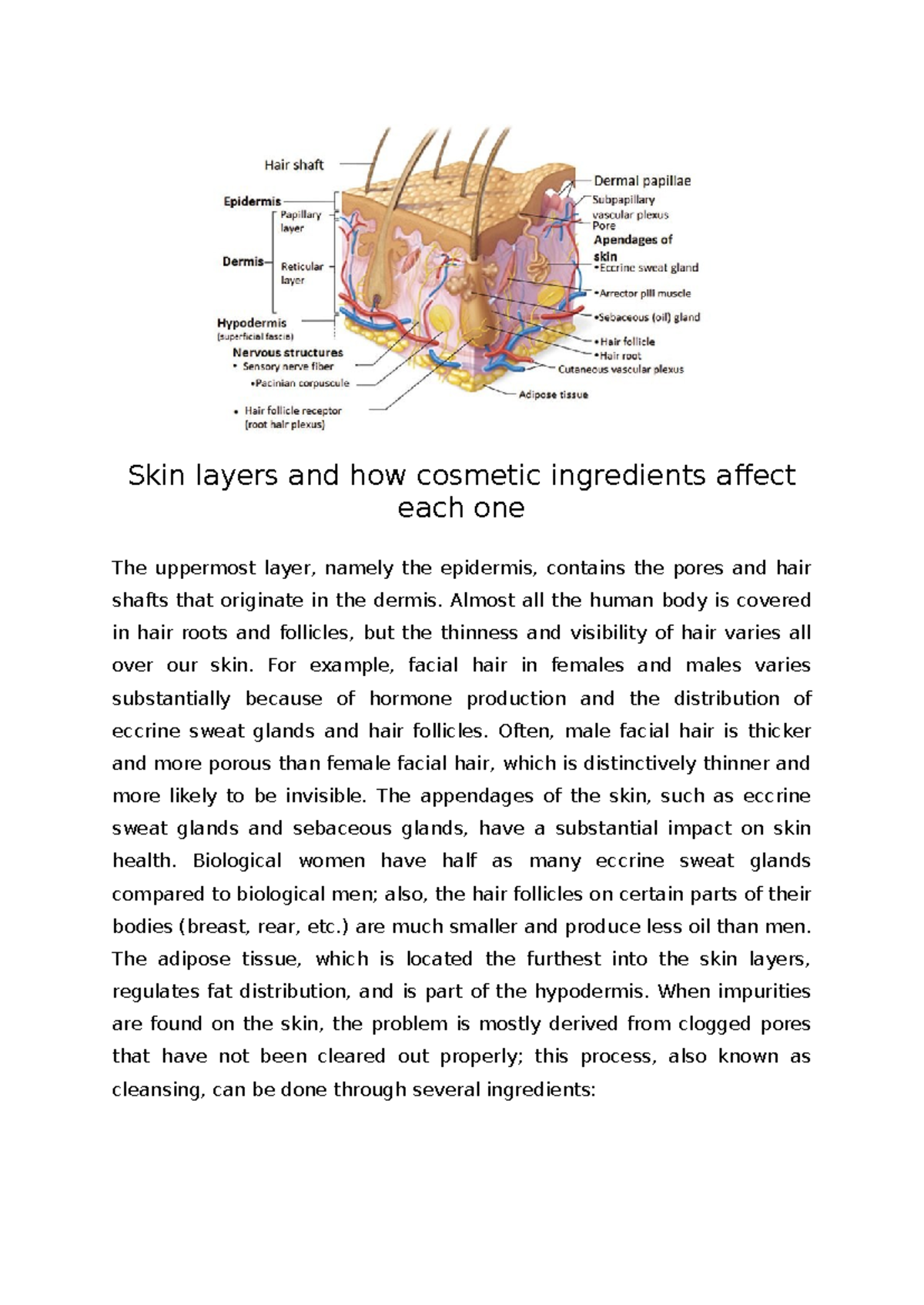 Skin layers and how cosmetic ingredients affect each one - Skin layers ...