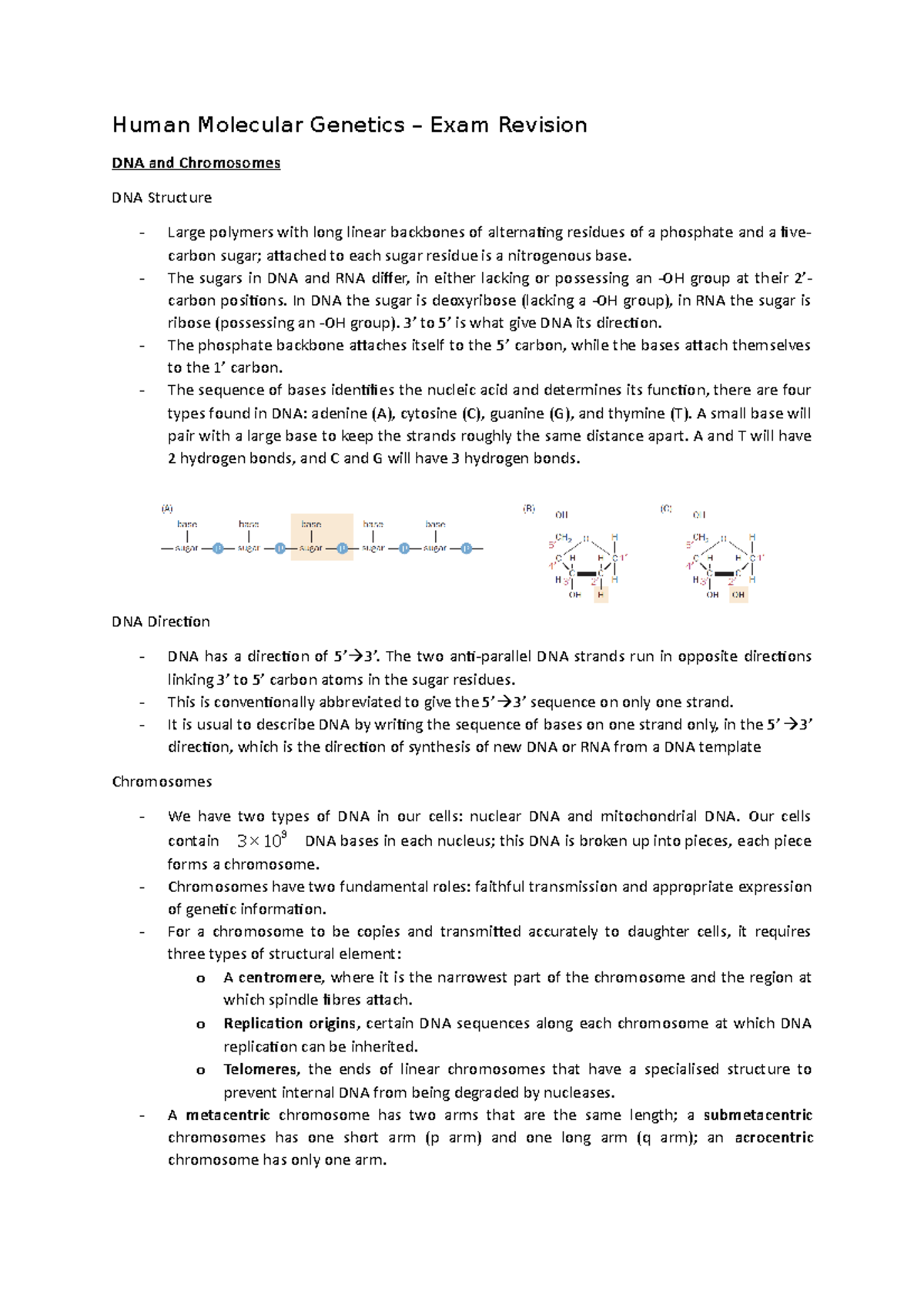 Exam Revision - Lecture notes 1-11 - Human Molecular Genetics Exam ...