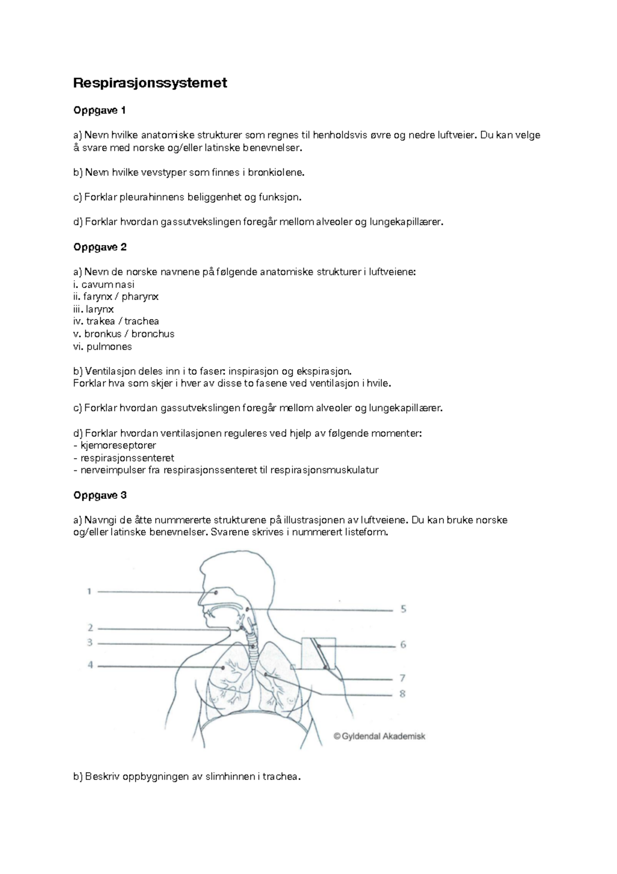 Respirasjonssystemet eksamensoppgaver - Respirasjonssystemet Oppgave 1 ...