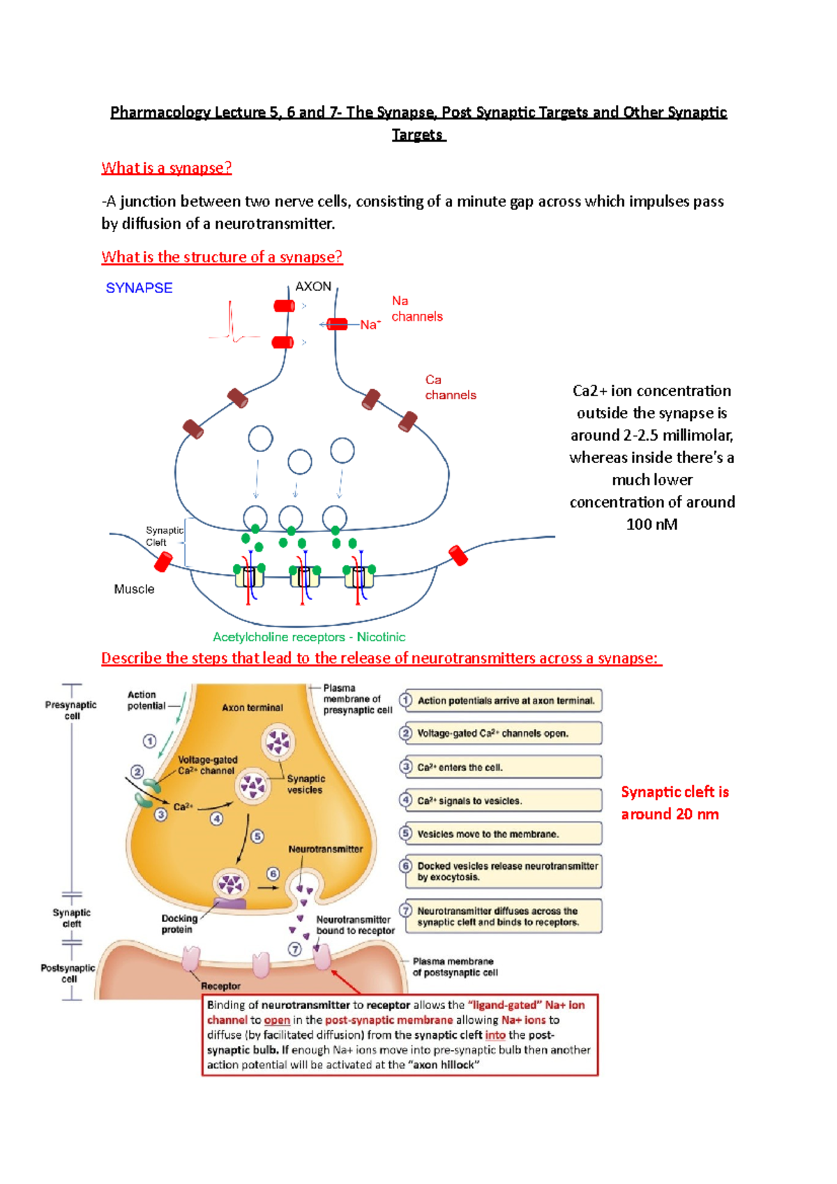 Lecture 5- The synapse - Pharmacology Lecture 5, 6 and 7- The Synapse ...