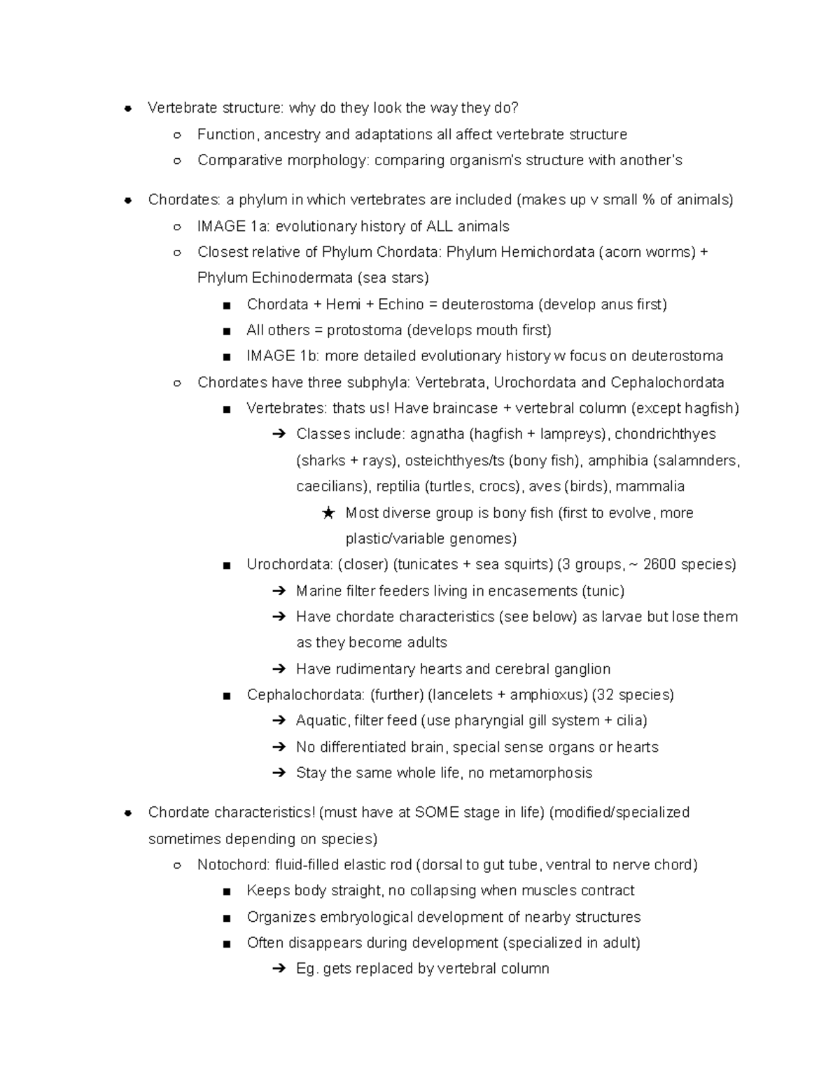 Vertebrate Structure and Function Midterm 1 Notes - Vertebrate ...