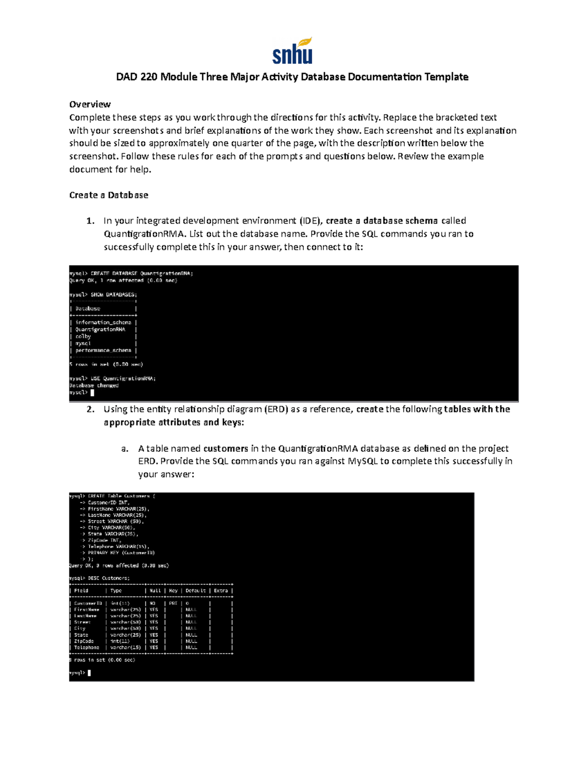 Dad 220 Module Three Major Activity Database Documentation Template Replace The Bracketed Text