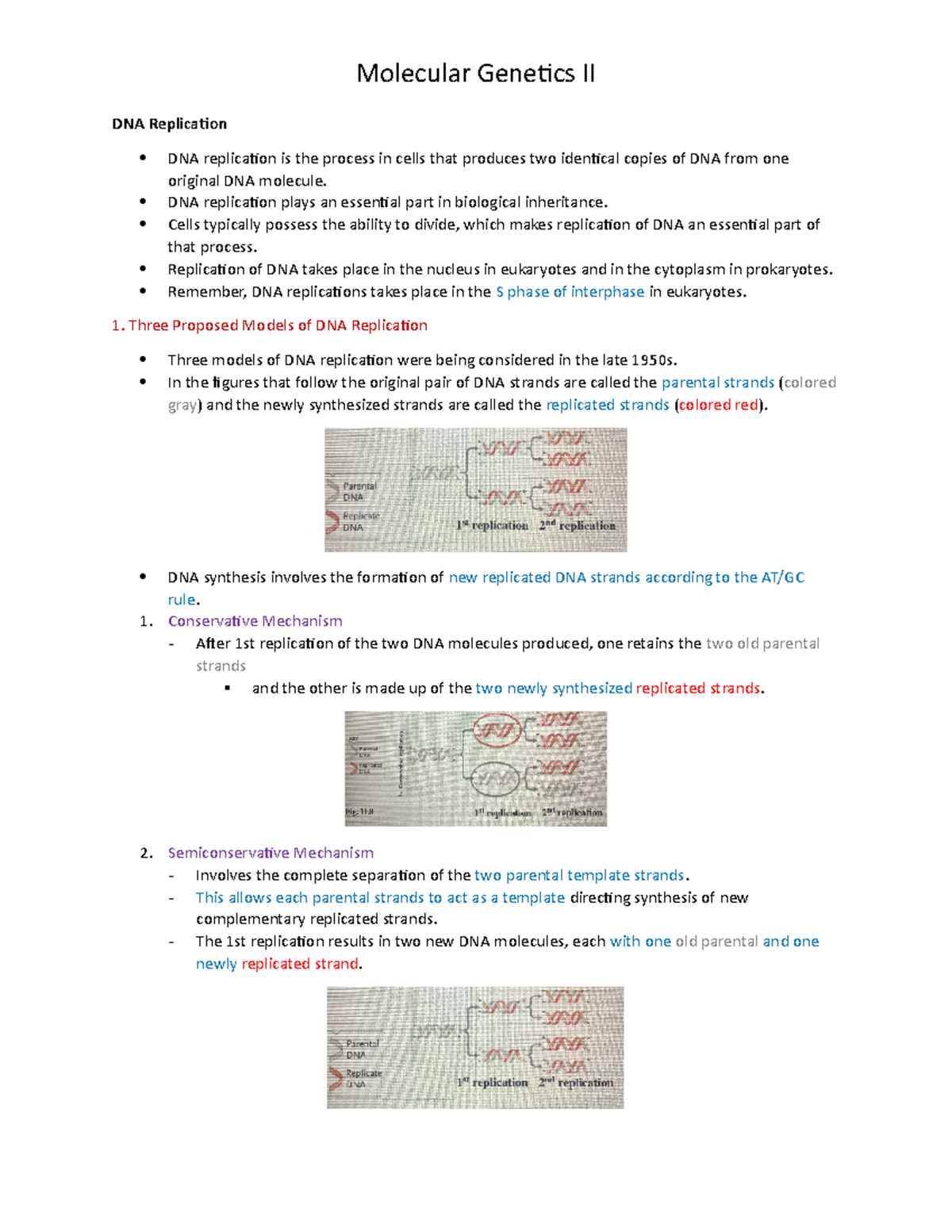 Molecular Genetics 2 - Lecture notes 8 - Molecular Genetics II DNA ... Molecular Genetics 2 - Lecture notes 8 - Molecular Genetics II DNA ...