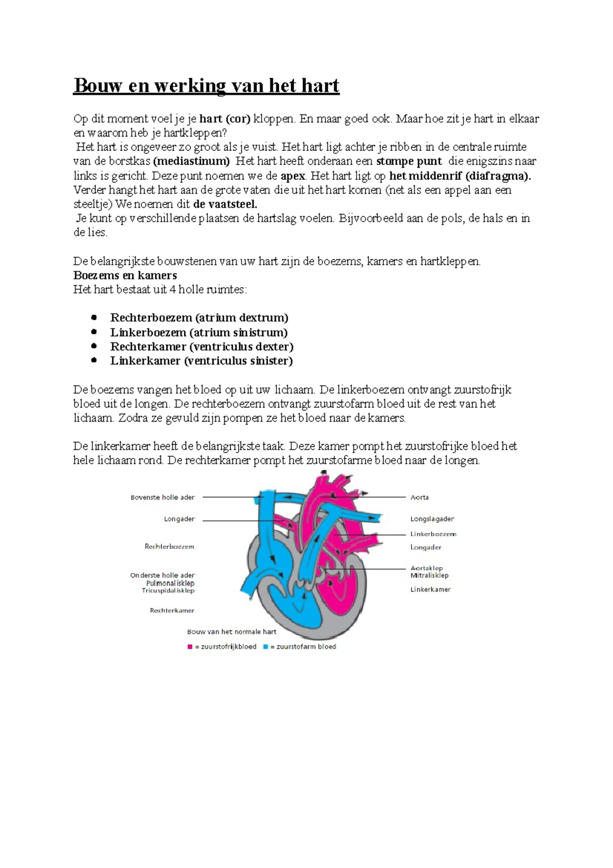 AFP 1.1 Bouw en werking van het hart - Bouw en werking van het hart Op ...
