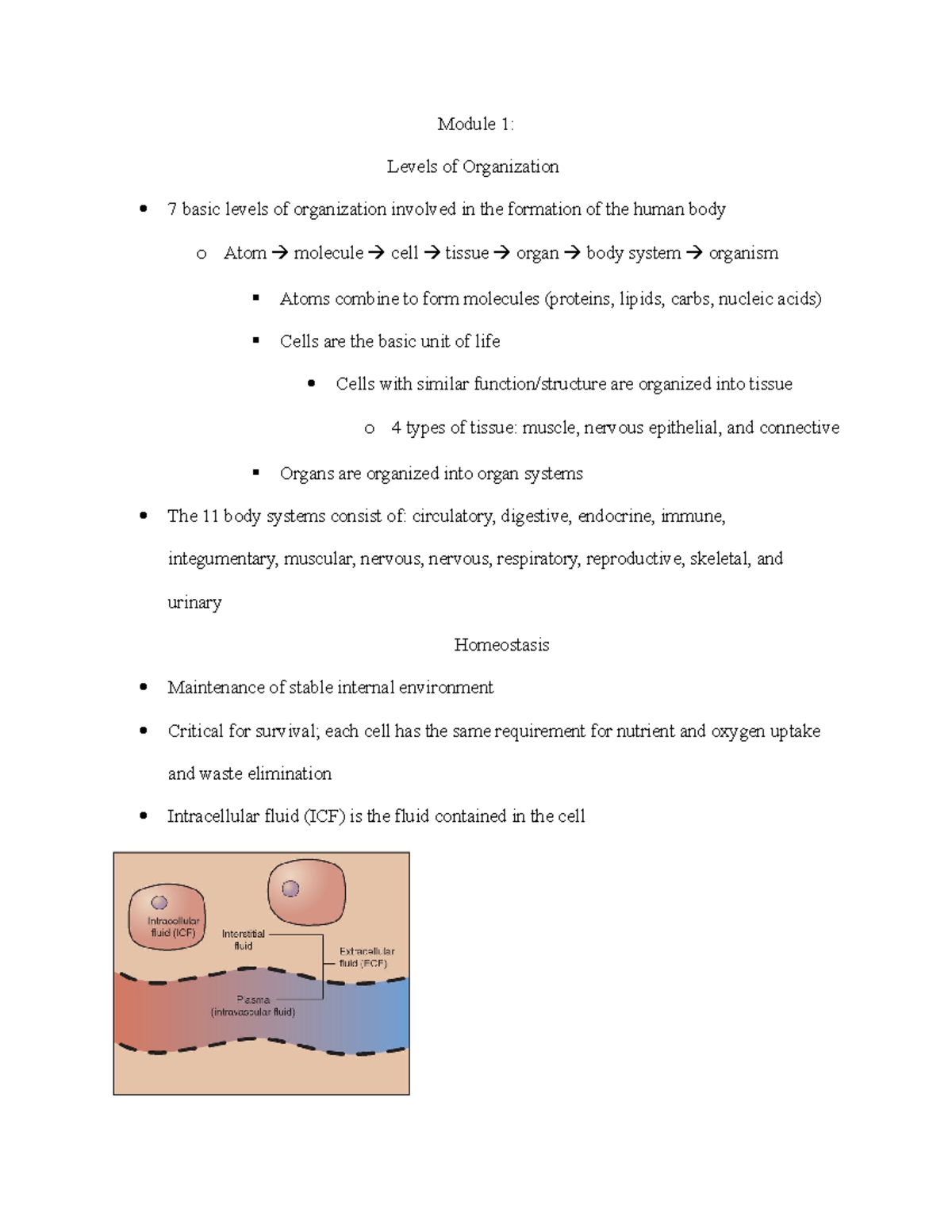 Module 1 - Homeostasis - Module 1: Levels of Organization 7 basic ...