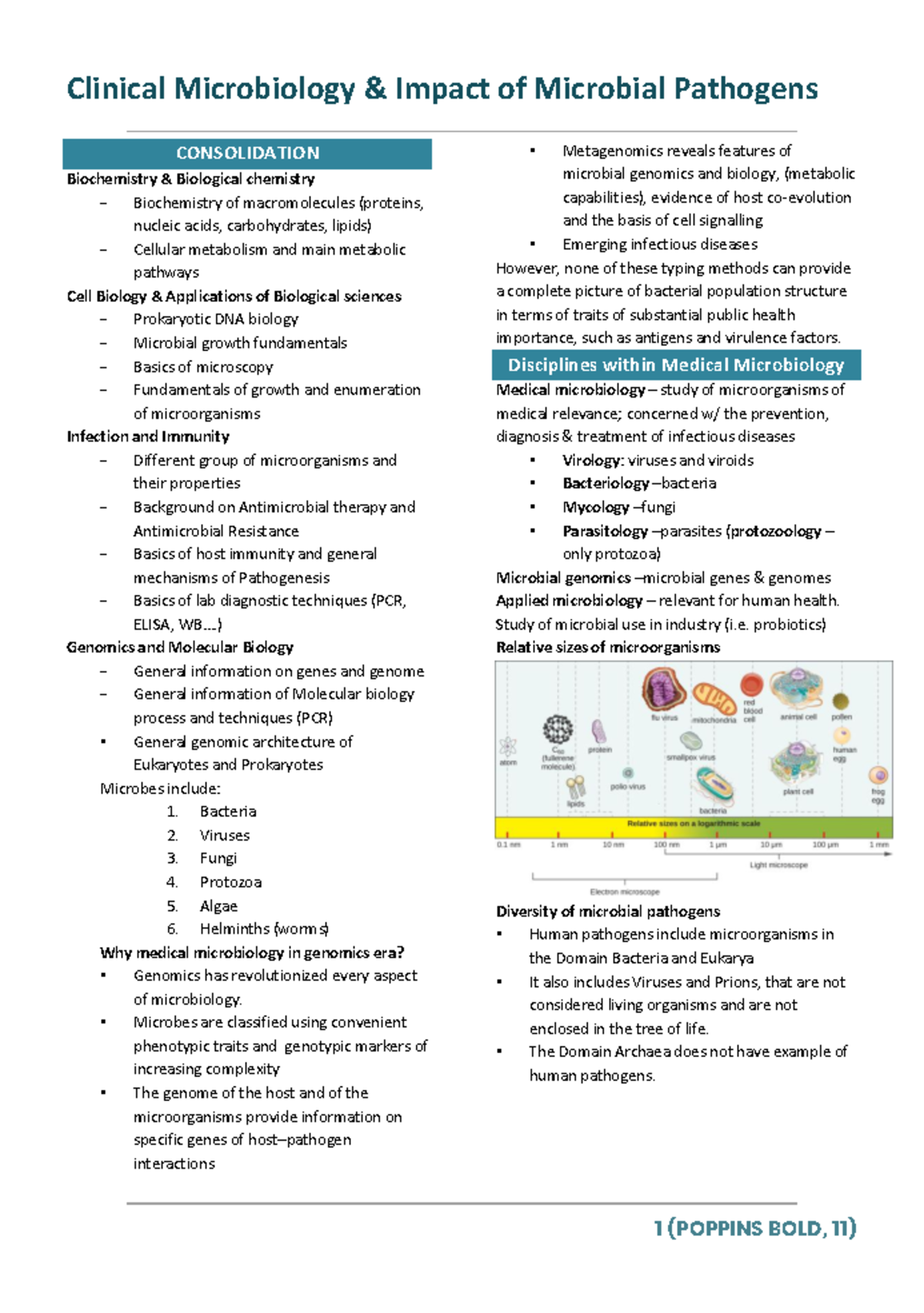 WEEK 1: Introduction to Diagnostic Biochem and Haema - CONSOLIDATION ...