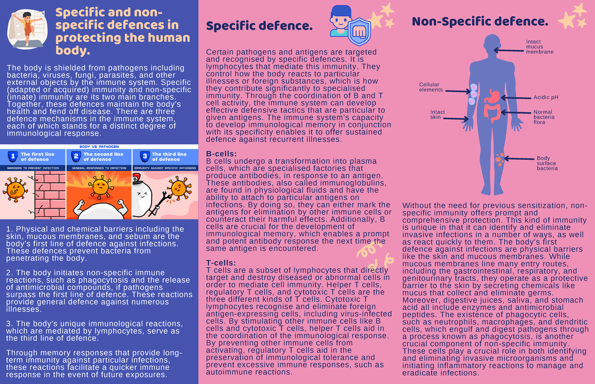 Body defences - Got a d - Certain pathogens and antigens are targeted ...