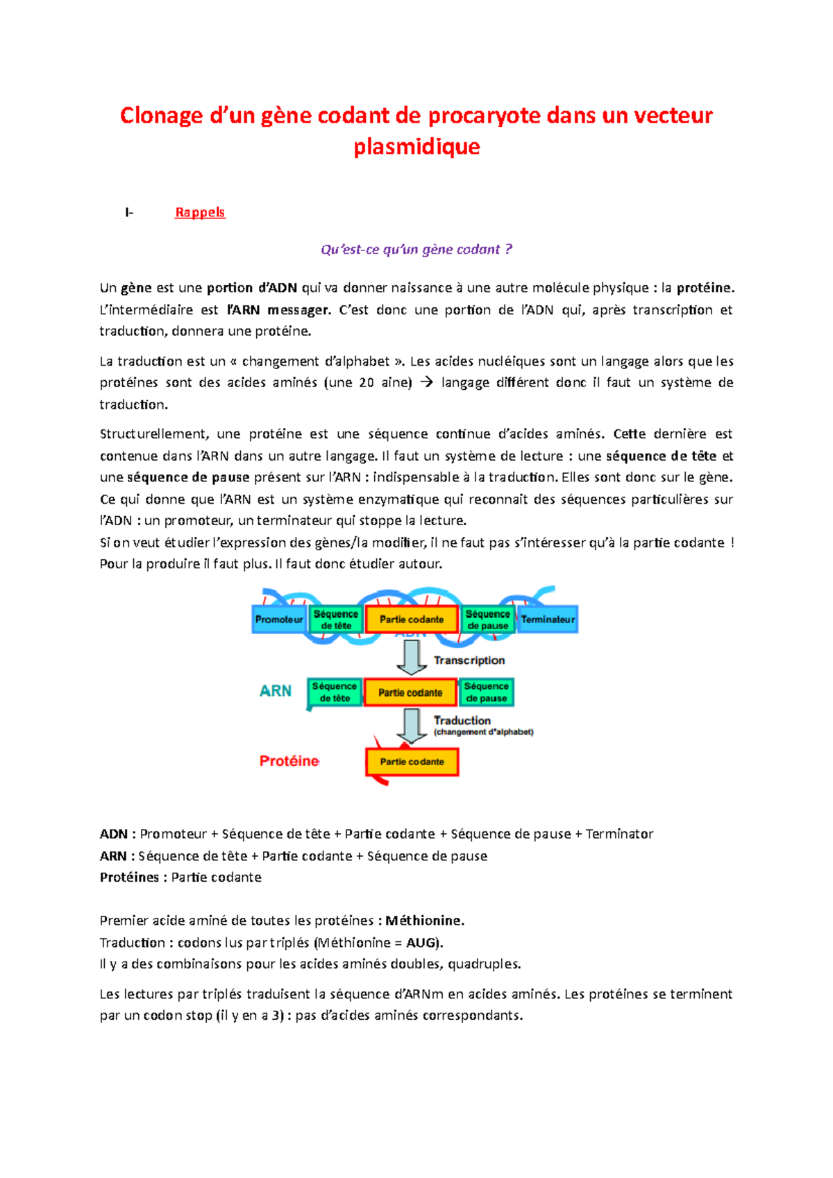 2- Clonage d’un gène procaryote - Clonage d’un gène codant de procaryote dans un vecteur ...