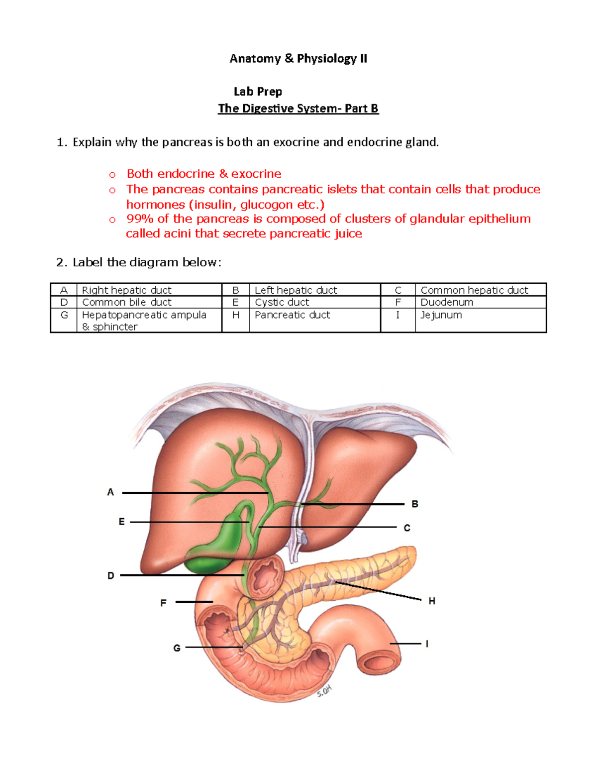 Lab Prep -GI Part B - assigned lab work - Anatomy & Physiology II Lab ...