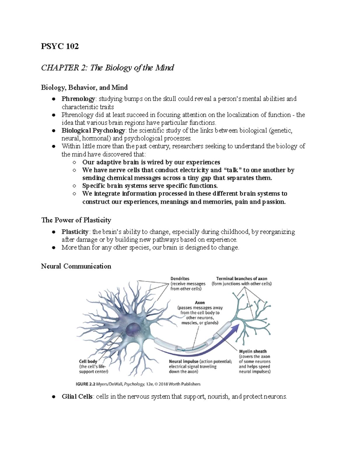 Chapter Two The Biology of the Mind - PSYC 102 CHAPTER 2: The Biology ...