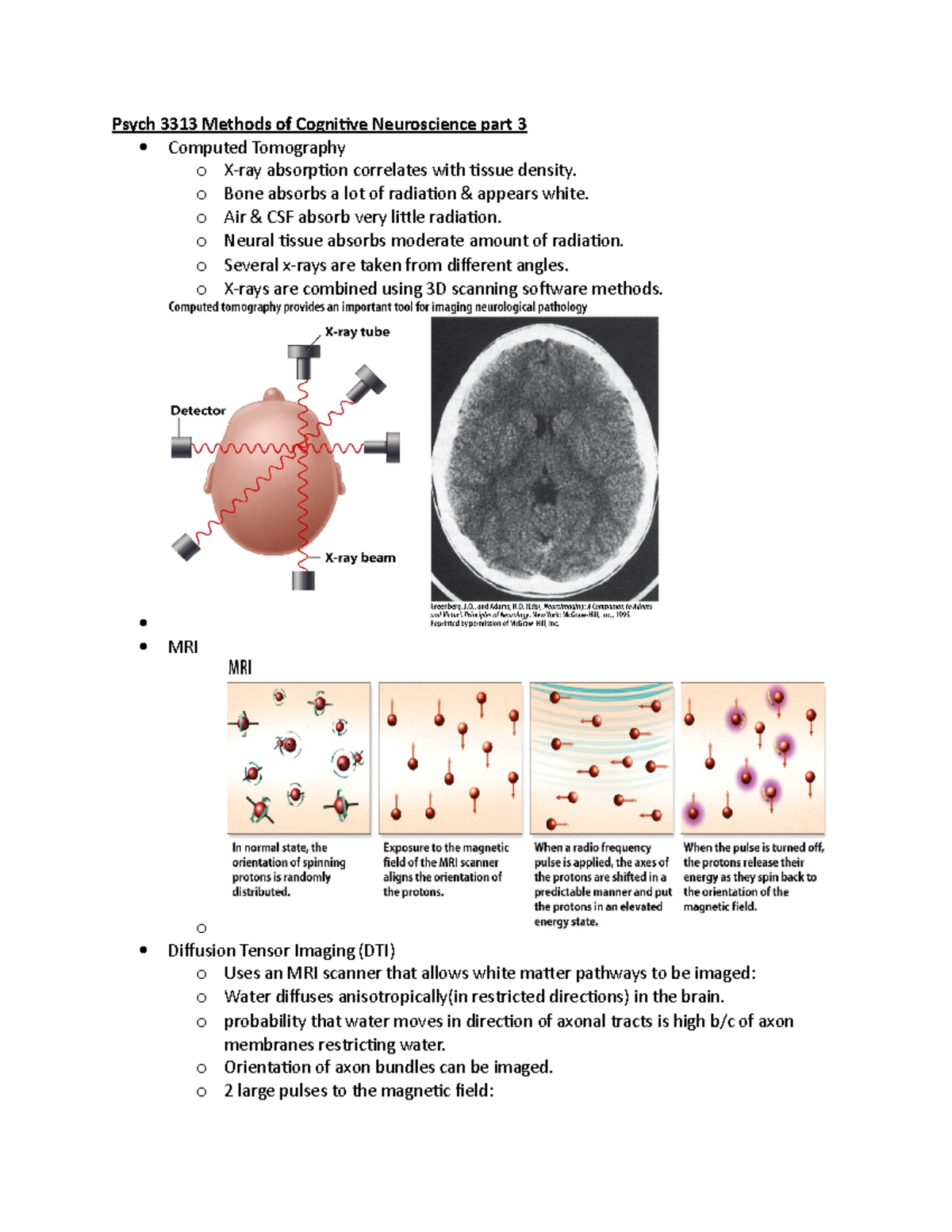 Psych 3313 Methods of Cognitive Neuroscience part 3 - o Bone absorbs a lot of radiation & - Studocu