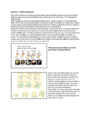 Pictorial Depth Cues - Also known as Secondary Pictorial Depth Cues ...