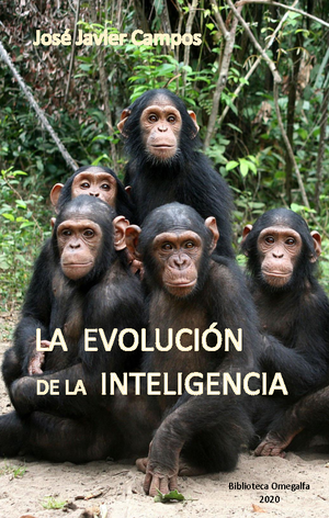 Informe WAIS - INFORME PSICOLÓGICO I. DATOS DE FILIACIÓN Apellidos y ...