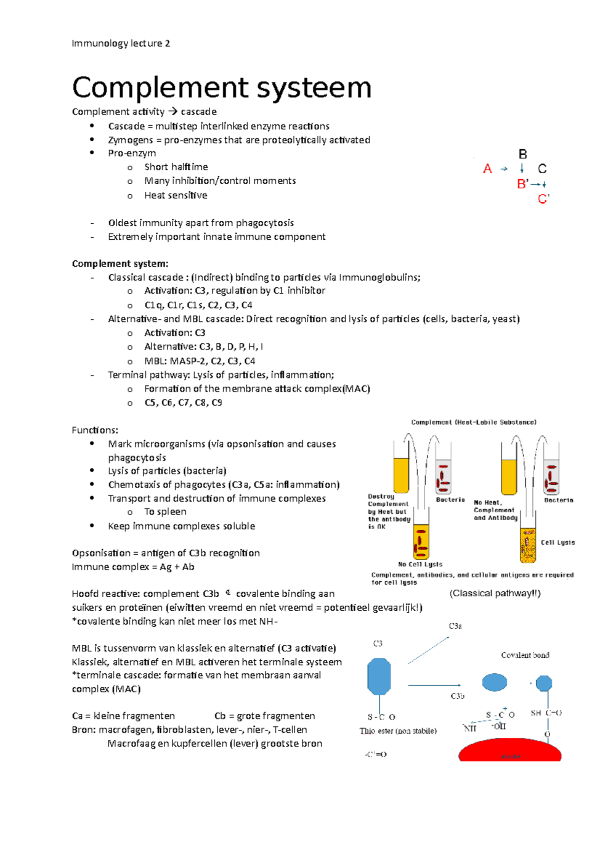 Immunology Lecture 2 - Complement system - Immunology lecture 2 ...