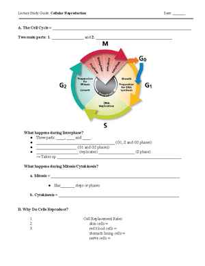 Virtual Lab Osmosis - Tonicity in Red Blood Cells - Student: Esperanza ...
