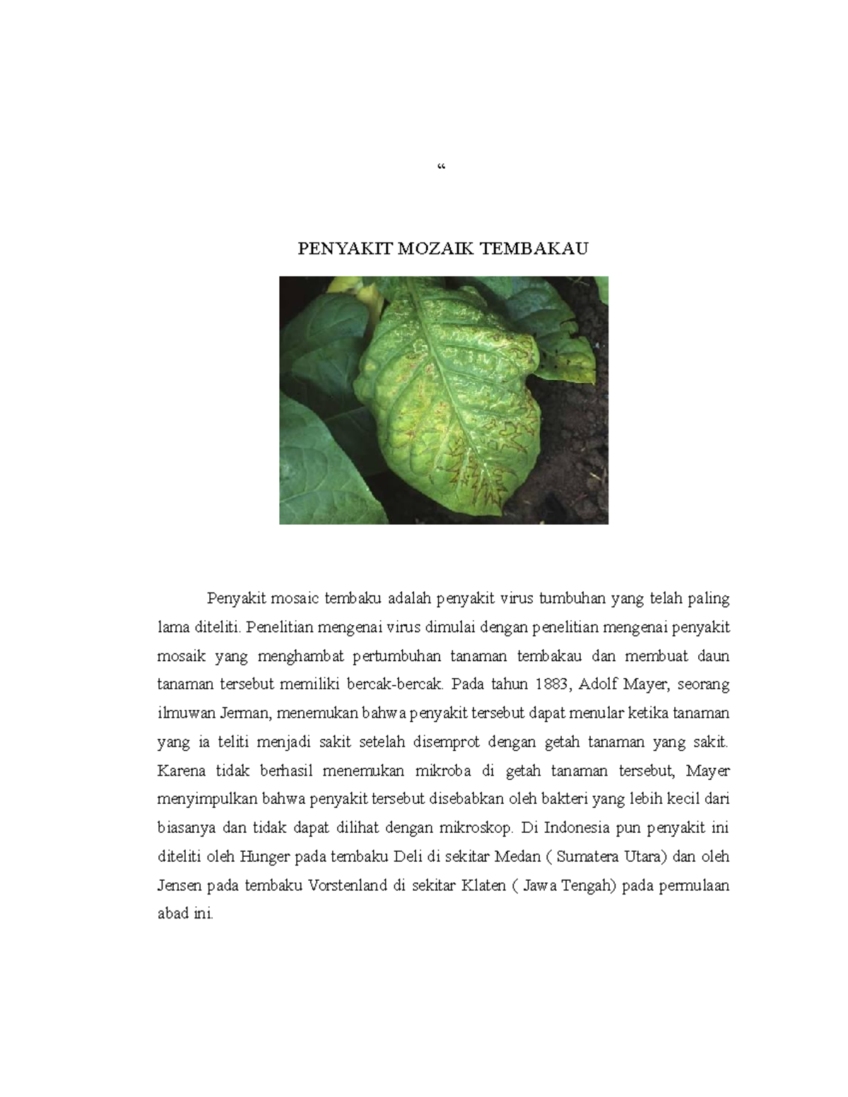 Tobacco mozaik virus - “ PENYAKIT MOZAIK TEMBAKAU Penyakit mosaic ...