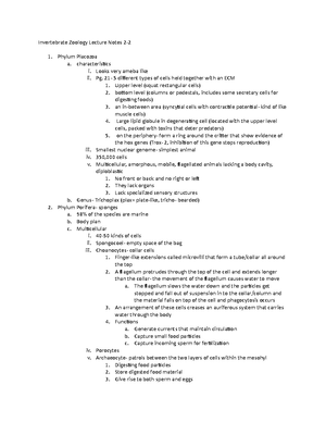Invertebrate Zoology Lecture Notes 1-21 - Kingdom Animalia a. About 33 ...