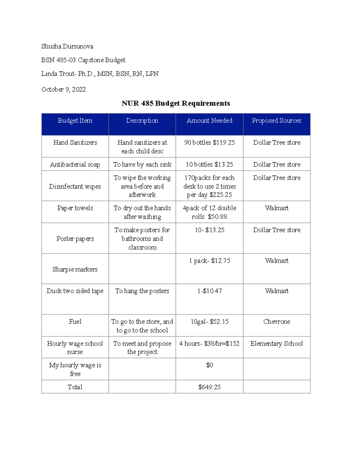 485 Updated. Budget Requirements - Shusha Dursunova BSN 485-03 Capstone ...