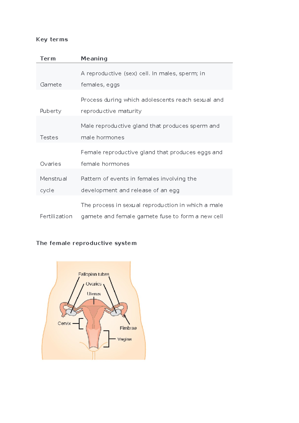 F and M Reproductive System - Key terms Term Meaning Gamete A ...