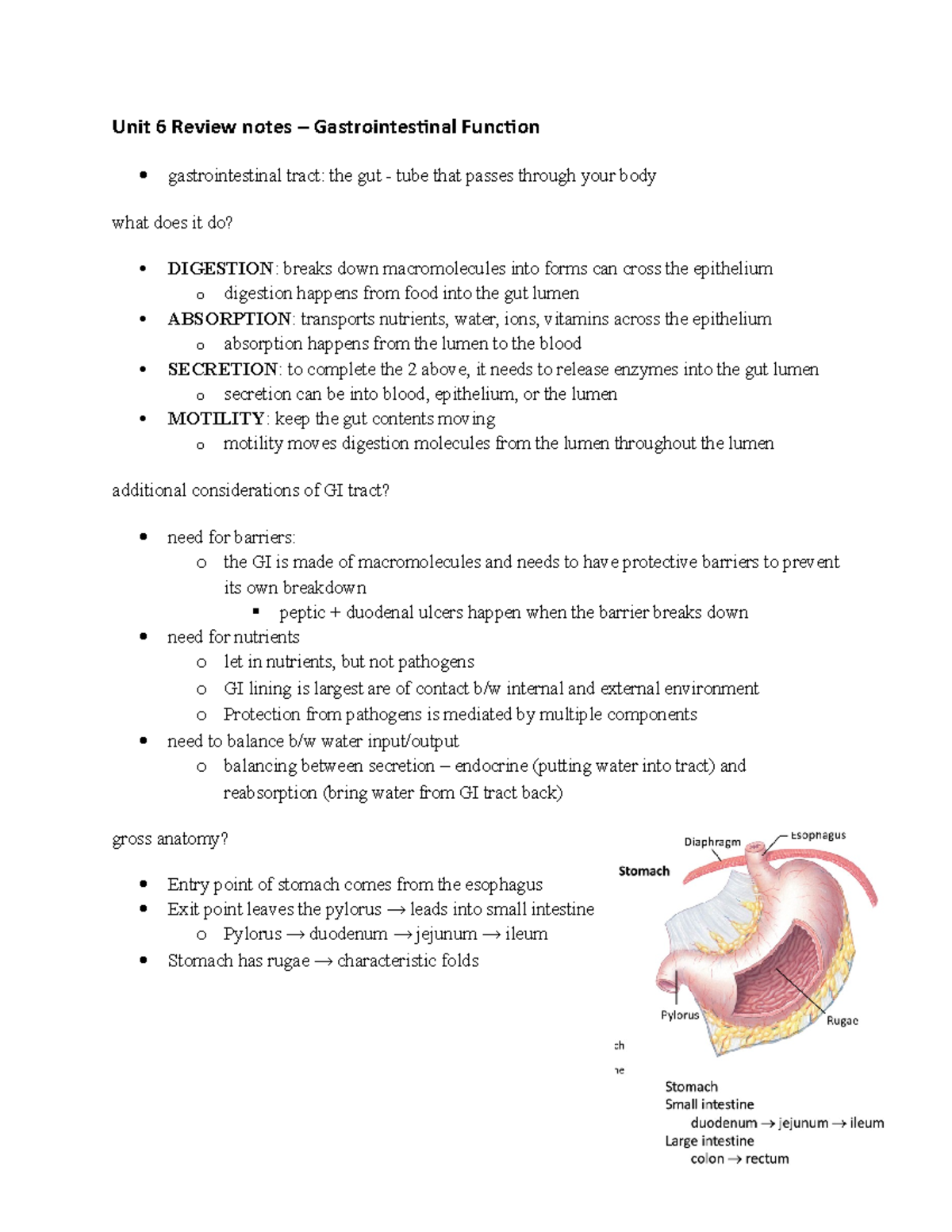 273 Review Notes - Unit 6 Review notes – Gastrointestinal Function ...