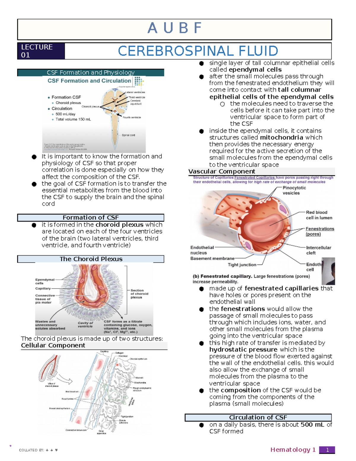 AUBF-1 - JIAIIIIIIIIIIIIIIIIIH - A U B F LECTURE 01 CEREBROSPINAL FLUID ...