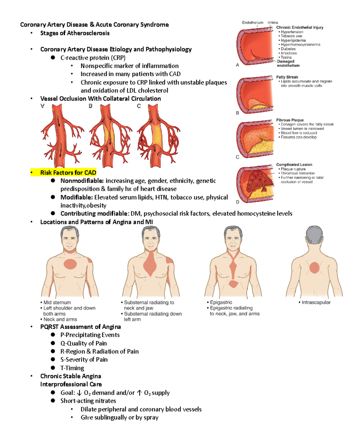 CAD & ACS notes - Coronary Artery Disease & Acute Coronary Syndrome ...