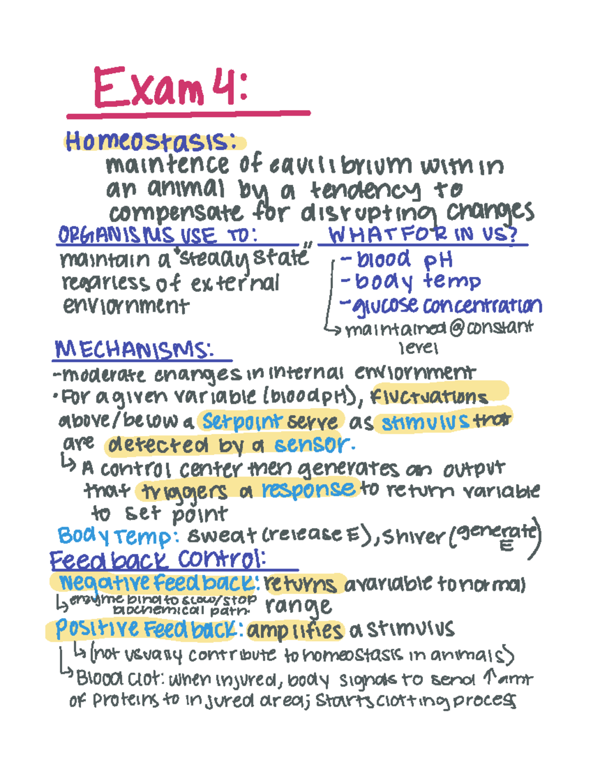 Metabolism Environment Ecology - Exam 4 Homeostasis main fence of ...