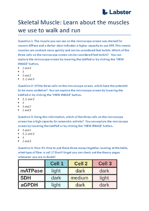 Questions smooth muscle learn how your gut contracts - Smooth muscle: Learn how your gut ...