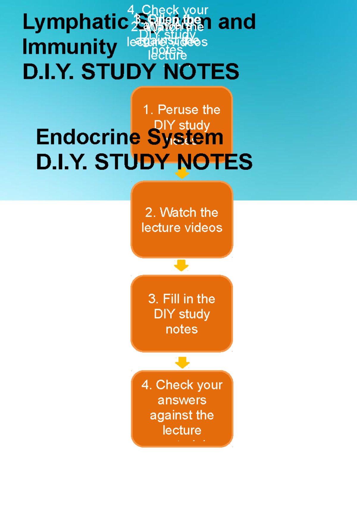 Lymphatic System and Immunity DIY Study Notes - Lymphatic System and ...