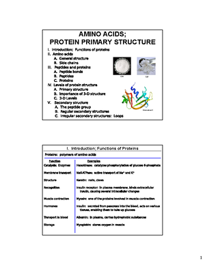 4A. AAs, primary and secondary structure (lecture video 1 and 2) - AMINO ACIDS; PROTEIN PRIMARY ...