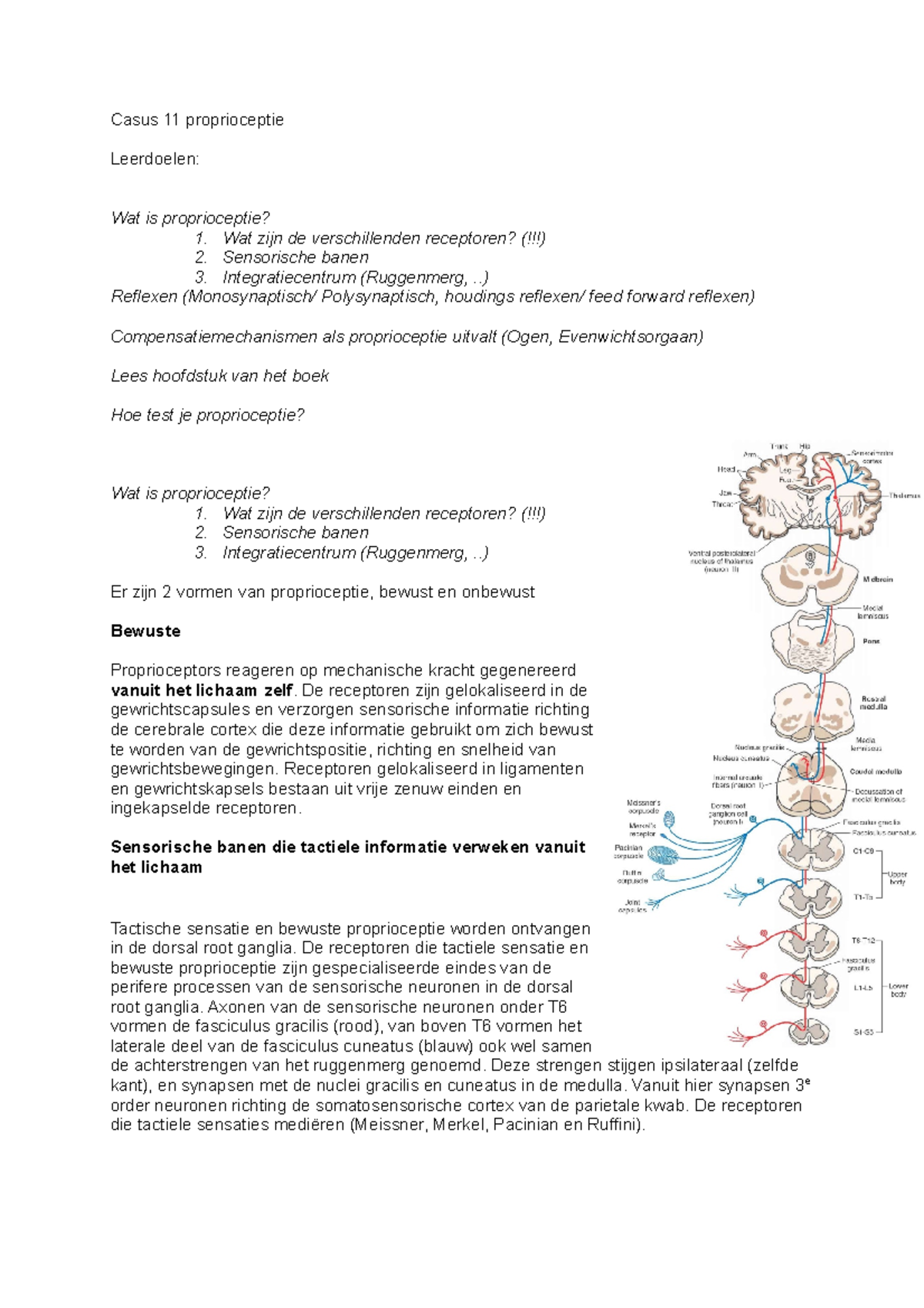 Casus 11 proprioceptie - Casus 11 proprioceptie Leerdoelen: Wat is ...