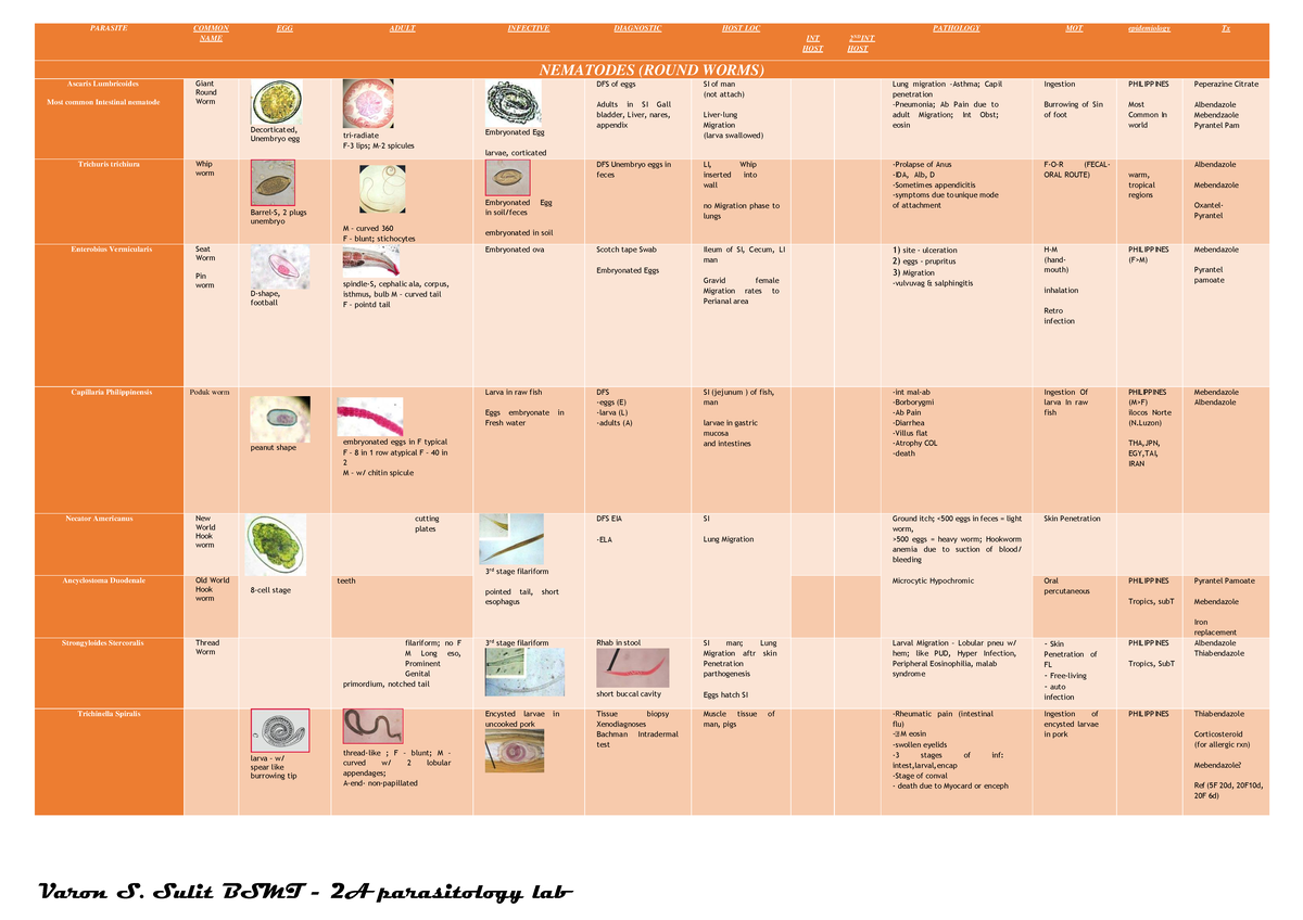 LAB Output PARA - parasitology - Varon S. Sulit BSMT - 2A parasitology ...