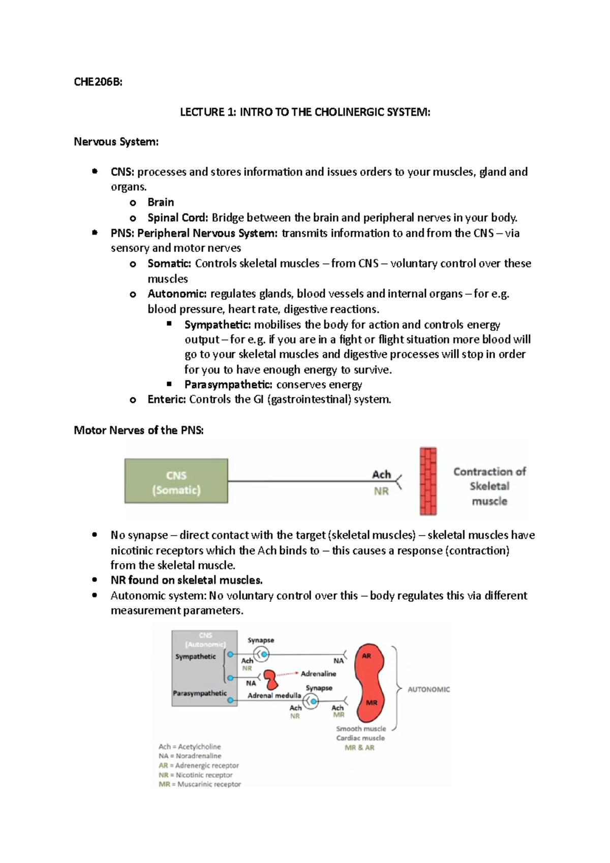 Lecture 1: INTRODUCTION TO THE CHOLINERGIC SYSTEM - CHE206B: LECTURE 1 ...
